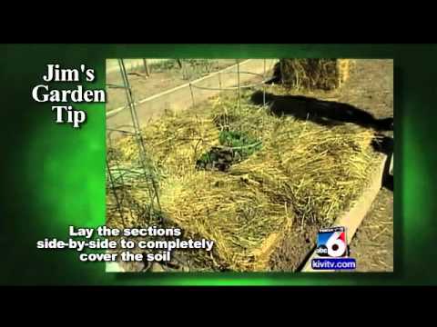Jim's Garden Tip - Add Mulch to Your Garden