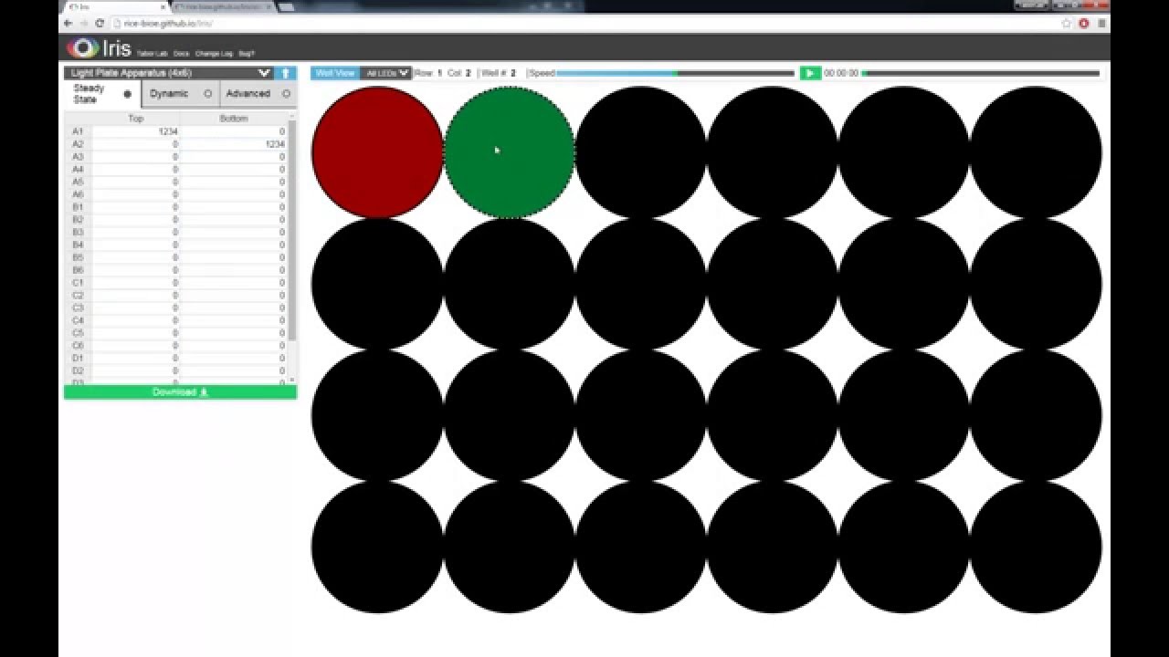 Iris Tutorial: Steady State Inputs