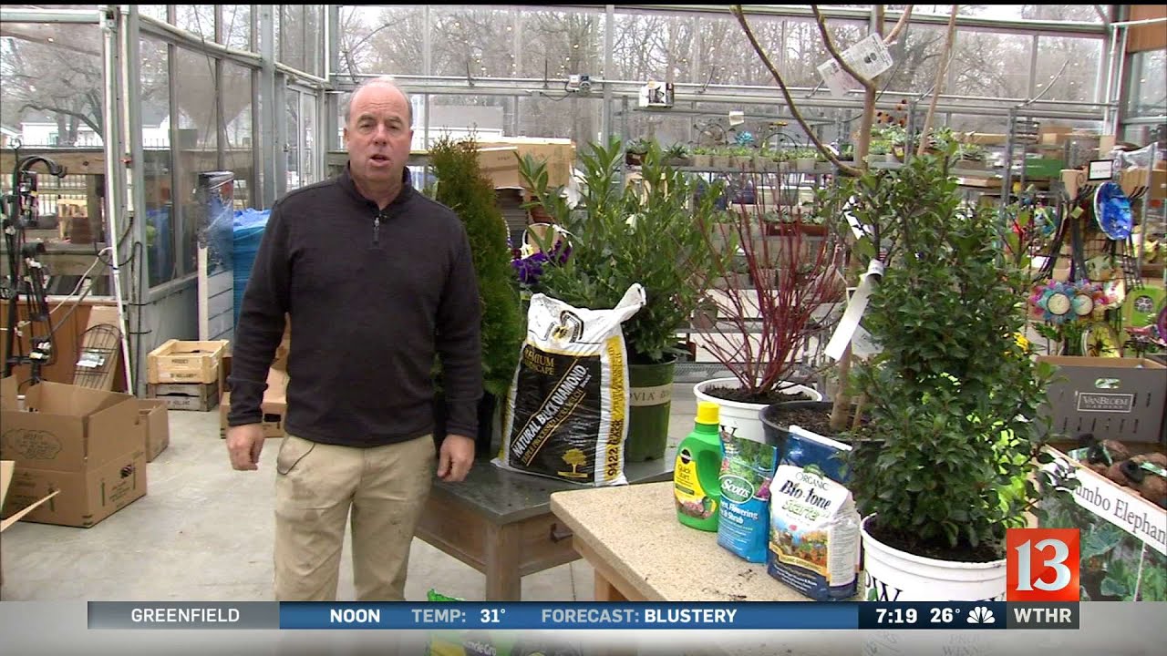 Pat Sullivan Trees and Shrubs