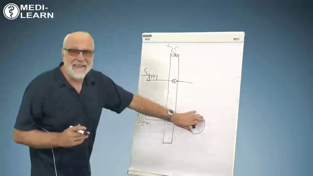 Zigarettenmodell - MEDI-LEARN