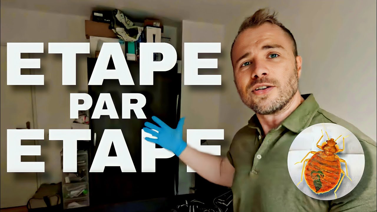 Reconnaître une piqûre de punaise de lit : les traiter et les éviter