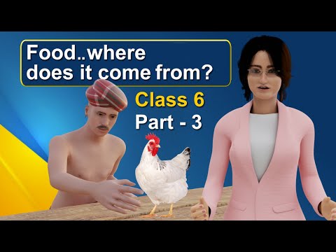 Class 6: Plant parts and animal products as Food - Part 3 | 3D videos for NCERT Science class 6
