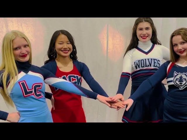 Aleya Brooks GoFundMe raises more than $23,000 after Tennessee ...