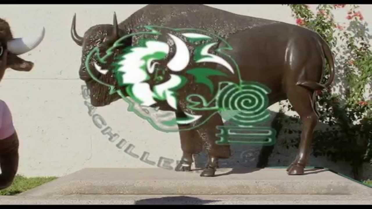 Lo mejor de COBACH 9