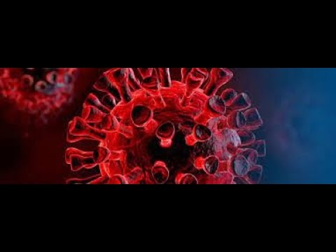 Pathology CPT codes Microbiology Part 2 - simplify medical coding