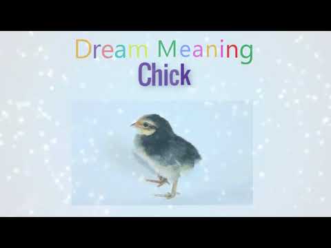 What Does it Really Mean When You Dream About Chick