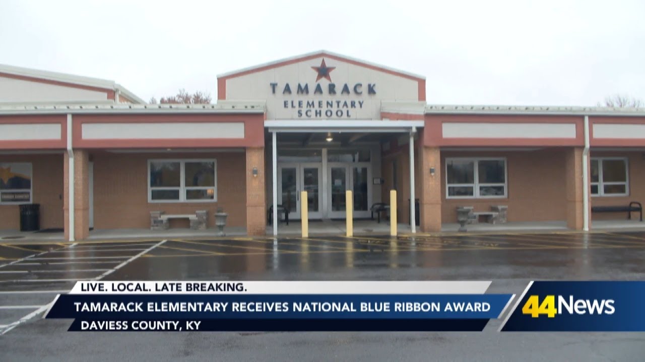 Tamarack Elementary School receives National Blue Ribbon Award