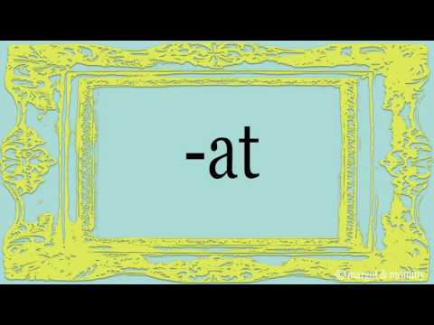 Word Family  -at