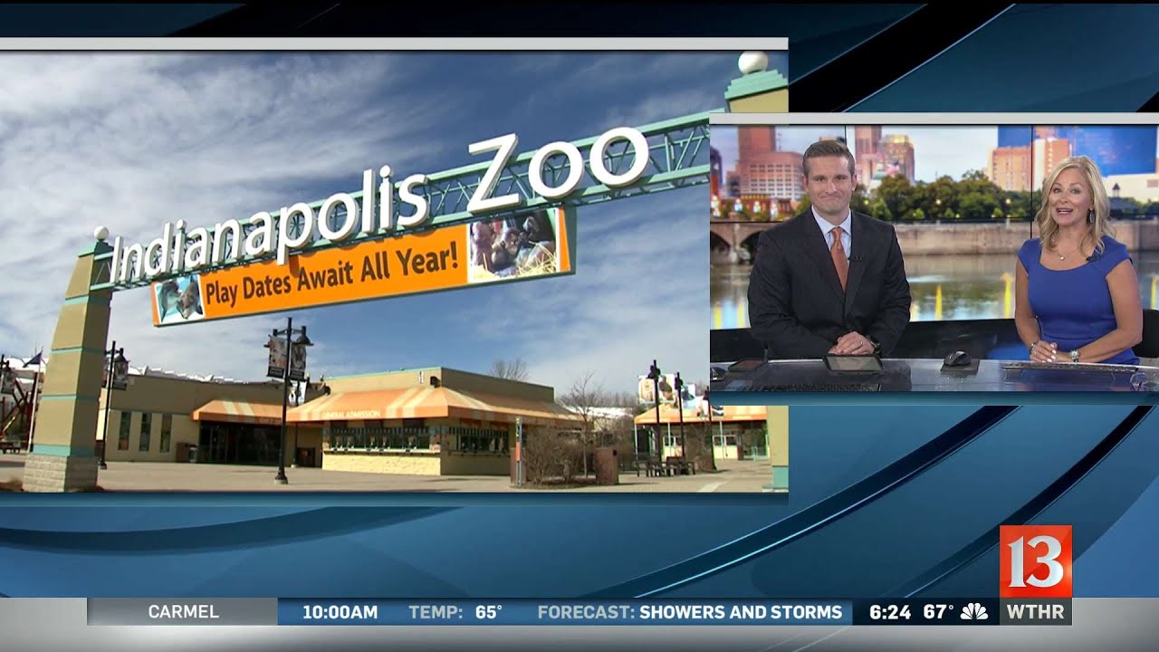 Zoo membership gifts