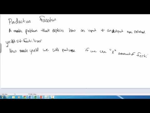 Production Function