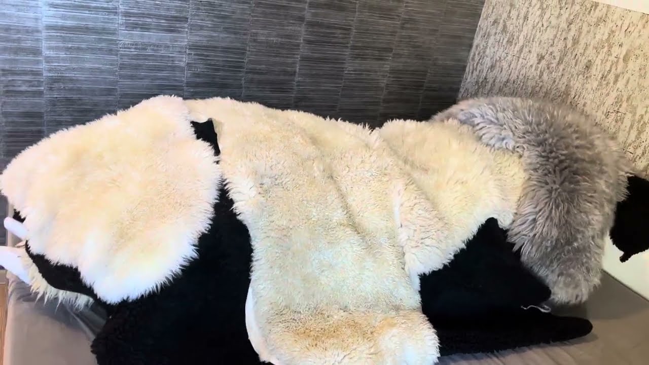 Fur Fetish Bondage 18