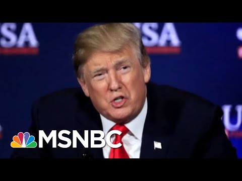 NYT: President Trump Called His Own Staff 'Stupid' During Call With Putin | The 11th Hour | MSNBC