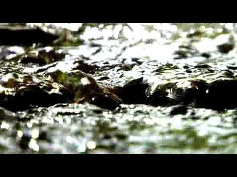 The origins of Gerolsteiner Sparkling Mineral Water