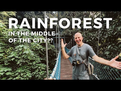 A Rainforest in Kuala Lumpur? Exploring KL Forest Eco Park and KL Tower!