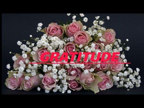 #Gratitude is the best attitude speech in English for kids