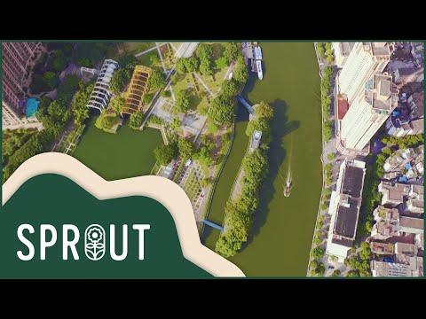 Sprout - Zhongshan Park: Revolutionizing Chinese Garden Design