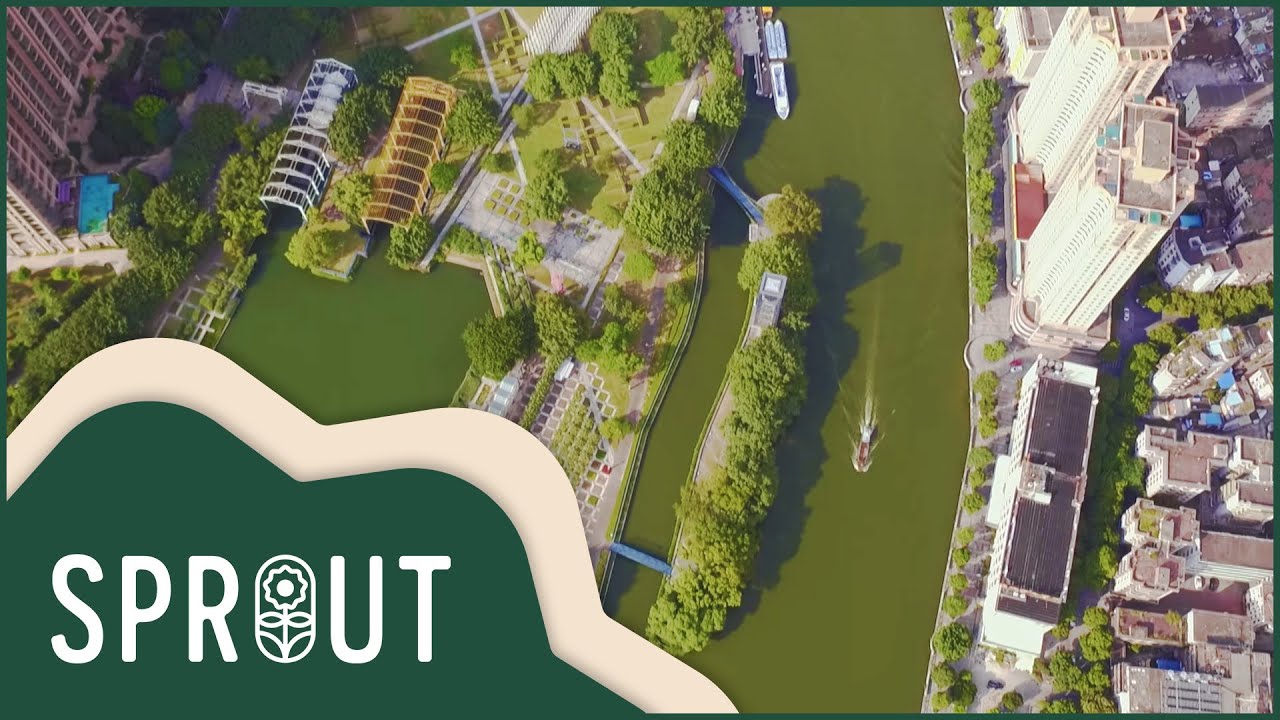 Sprout - Zhongshan Park: Revolutionizing Chinese Garden Design