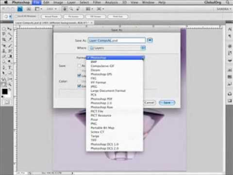 Photoshop CS4 File Formats