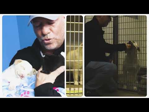 Kansas City Pet Resource Center Auction Promo
