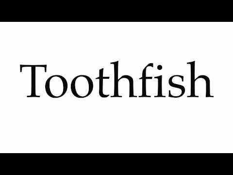 How to Pronounce Toothfish