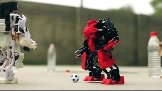 Ai.Frame Apollo AIF-44-0: A DIY Humanoid Robot Kit