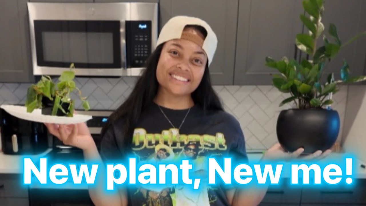 I hope this plant lasts.😩Buke Joint update 👀😂