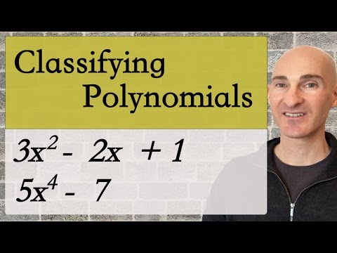 Classifying Polynomials – Easy Peasy All-in-One High School