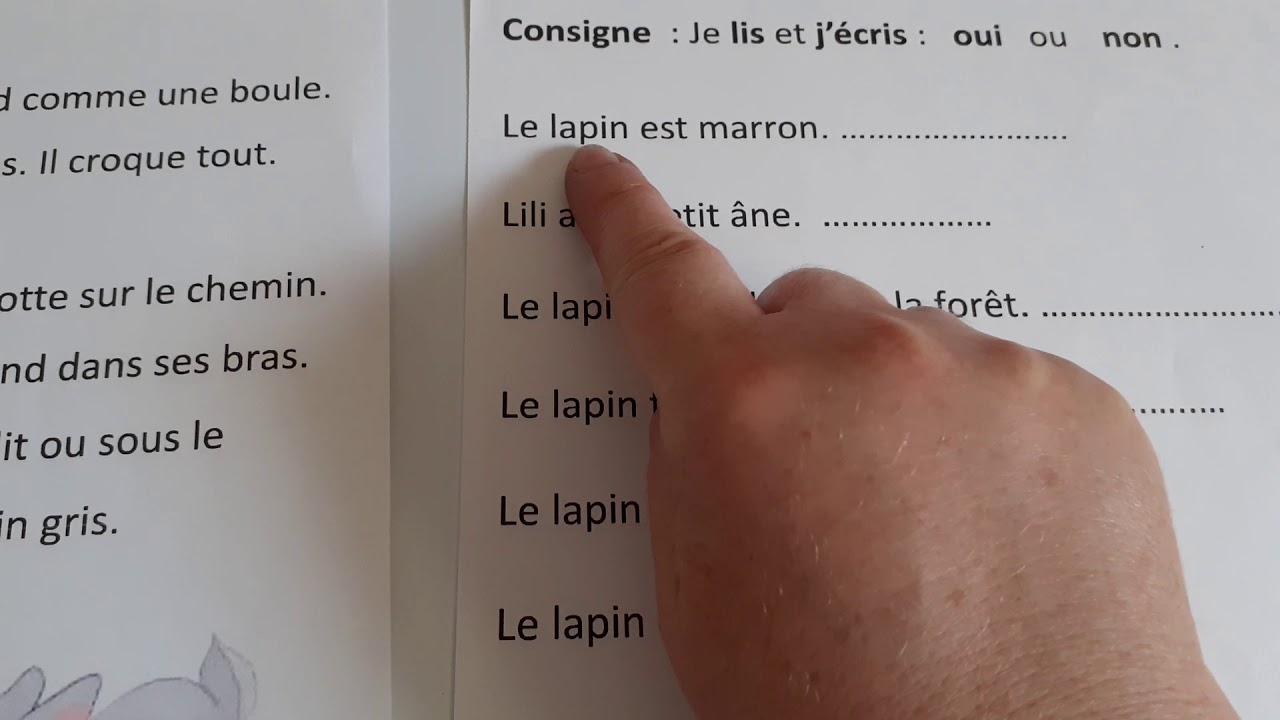 CP Lecture : Le lapin de Lili