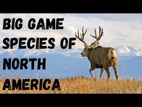 The Big Game Animals of North America: A species guide with range maps