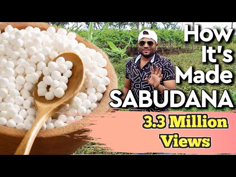 Sabudana - Wholesale Price & Mandi Rate for Sago Seeds in India