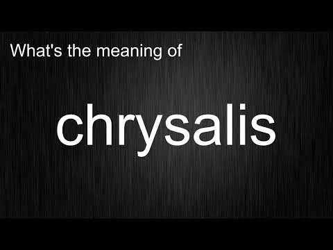 What's the meaning of "chrysalis", How to pronounce chrysalis?