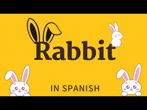 Daily Spanish WORD| How do you say (“Rabbit”) in Spanish 🐇