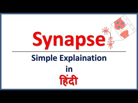 Synapse & Its Types (Simple explaination in Hindi) | Bhushan Science