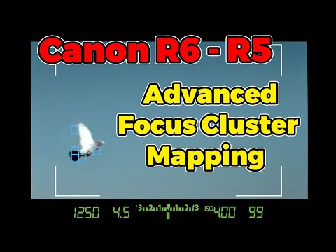 Canon R5 & R6: Advanced focus cluster mapping (bird photography) (4147C002)