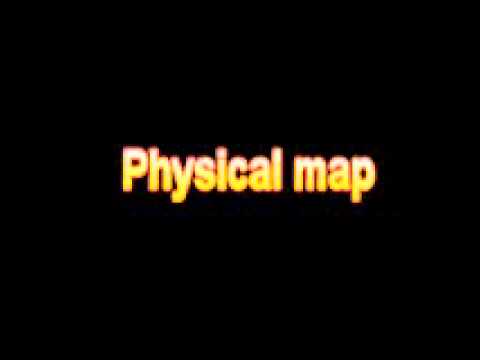 What Is The Definition Of Physical map Medical School Terminology Dictionary