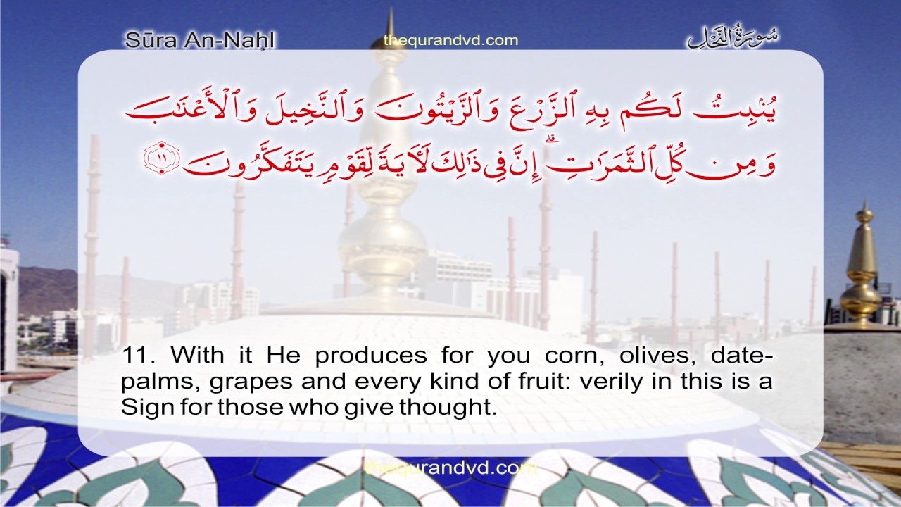 Surah 16 Chapter 16 An Nahl HD Quran with English translation by