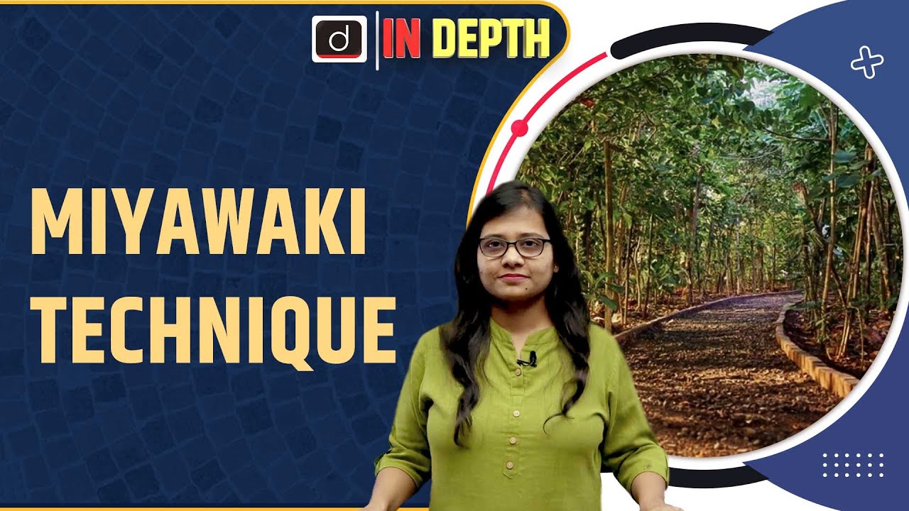 Miyawaki Method: Technique of Urban Afforestation - IN Depth | Drishti IAS English