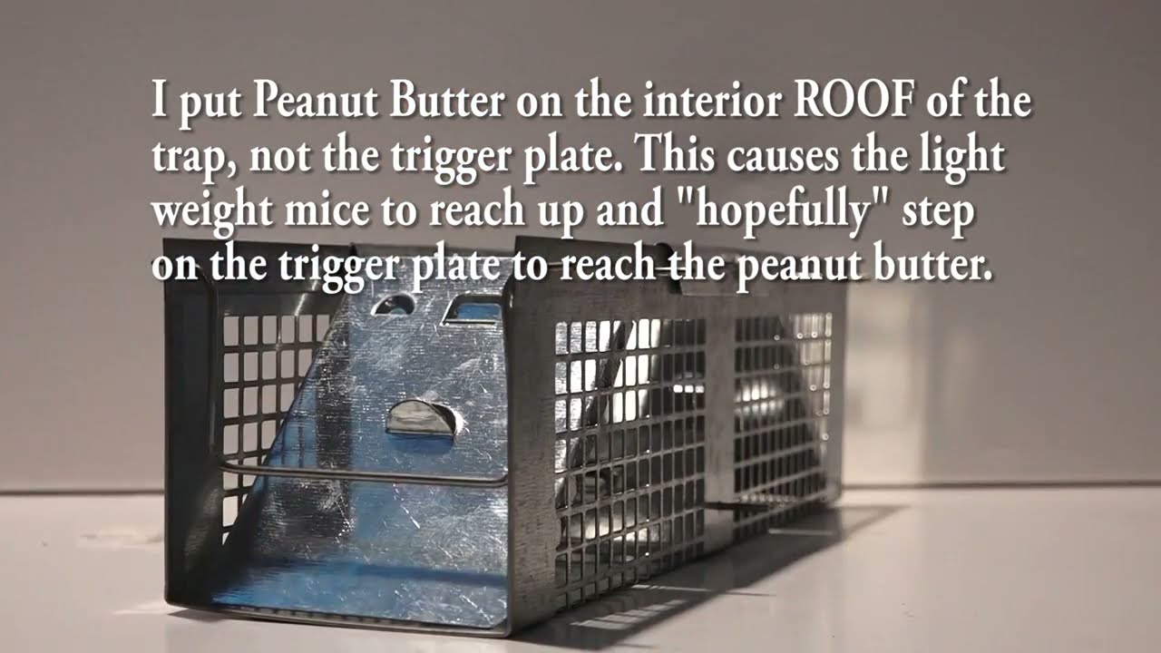 Mouse Trap, the smallest Havahart TRAP that no mouse is too small to trigger. No Escapes, NONE