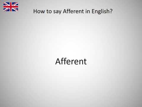 How to say Afferent in English?