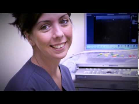 Advanced Vein Care Solutions - About Us - The Vein Experts