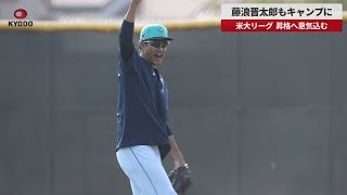 【速報】藤浪晋太郎もキャンプに 米大リーグ、マリナーズ、昇格へ意気込む|47NEWS（よんななニュース）
