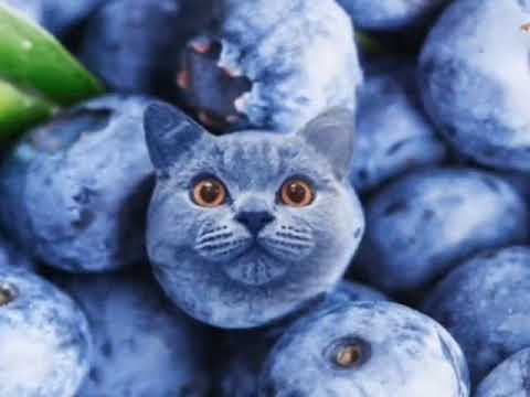 Steam Community :: Nonsensical Video Generator