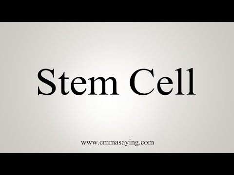 How To Say Stem Cell