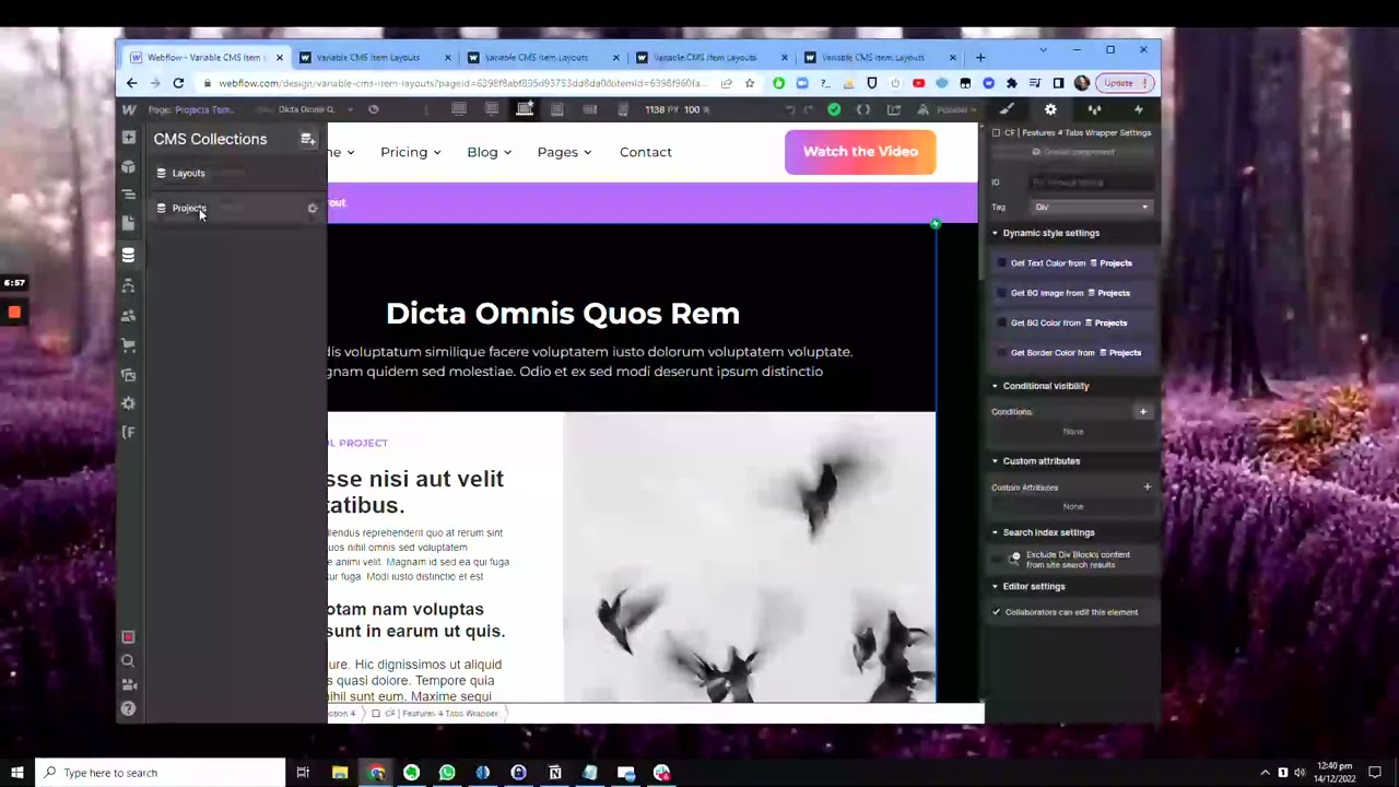 Variable CMS Item Layouts    CLONEABLE 2