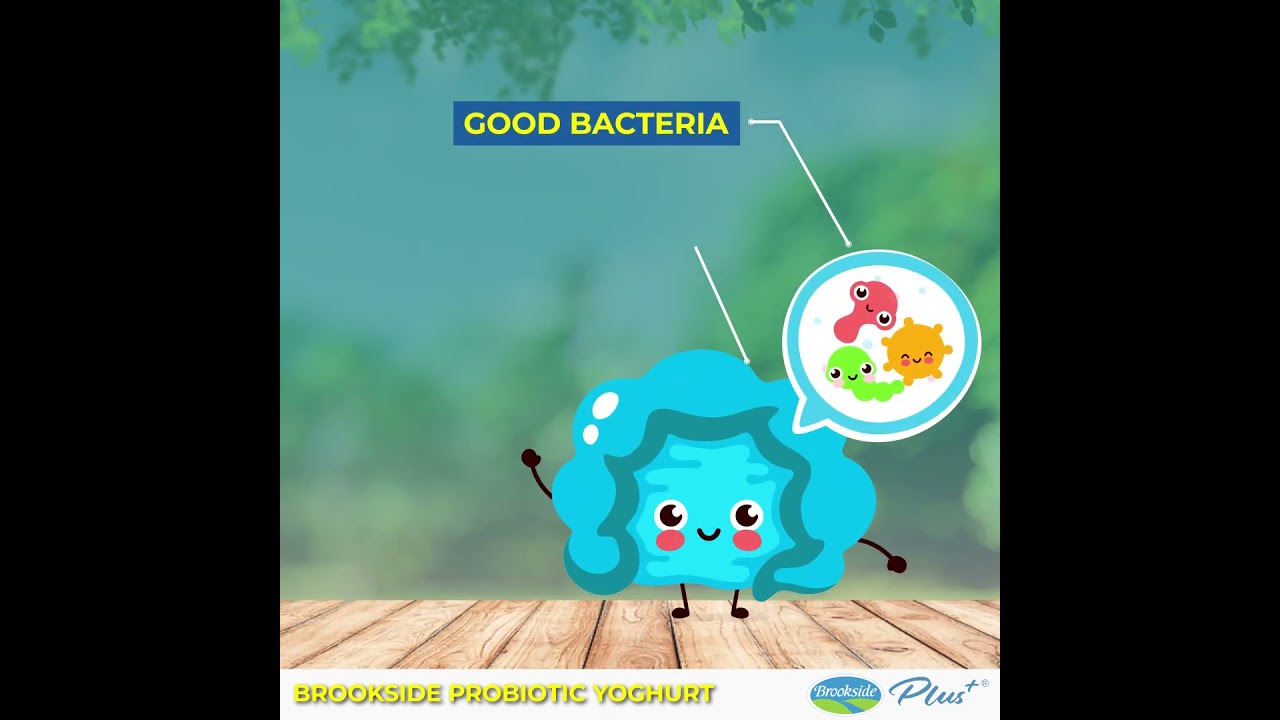 Probiotic Yoghurt Healthy Tummy Happy You