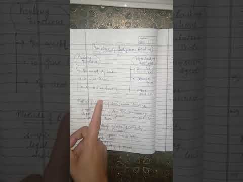 Functions of indigenous bankers