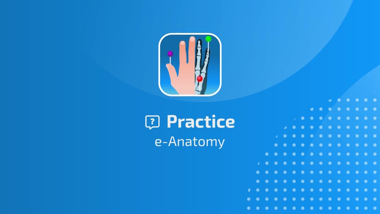e-Anatomy: Practice feature