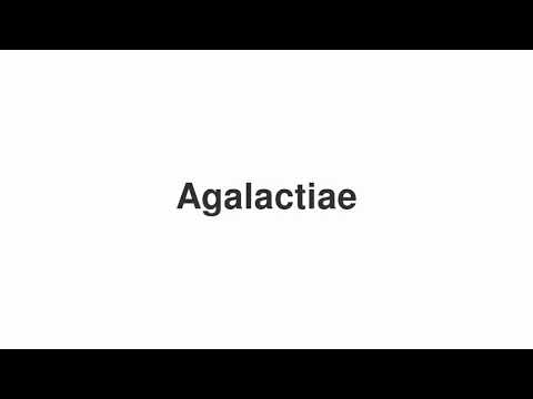 How to Pronounce "Agalactiae"