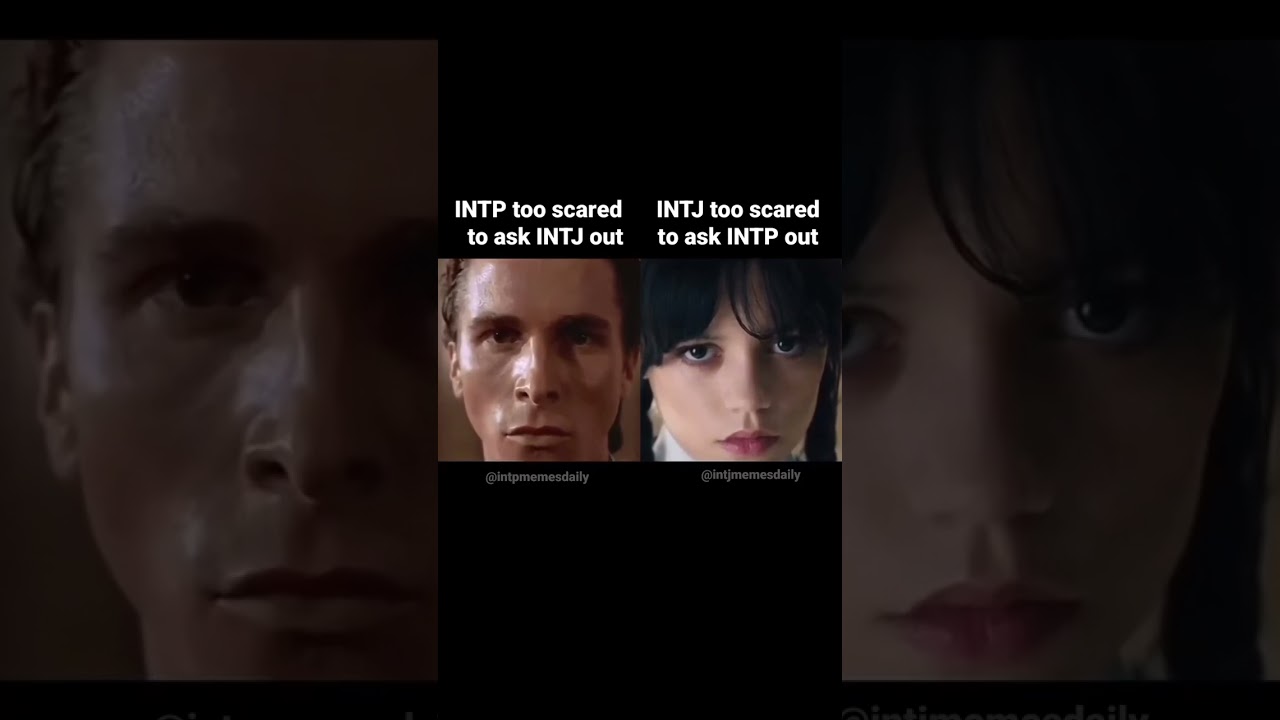 INTP and INTJ are too scared to ask out the other one