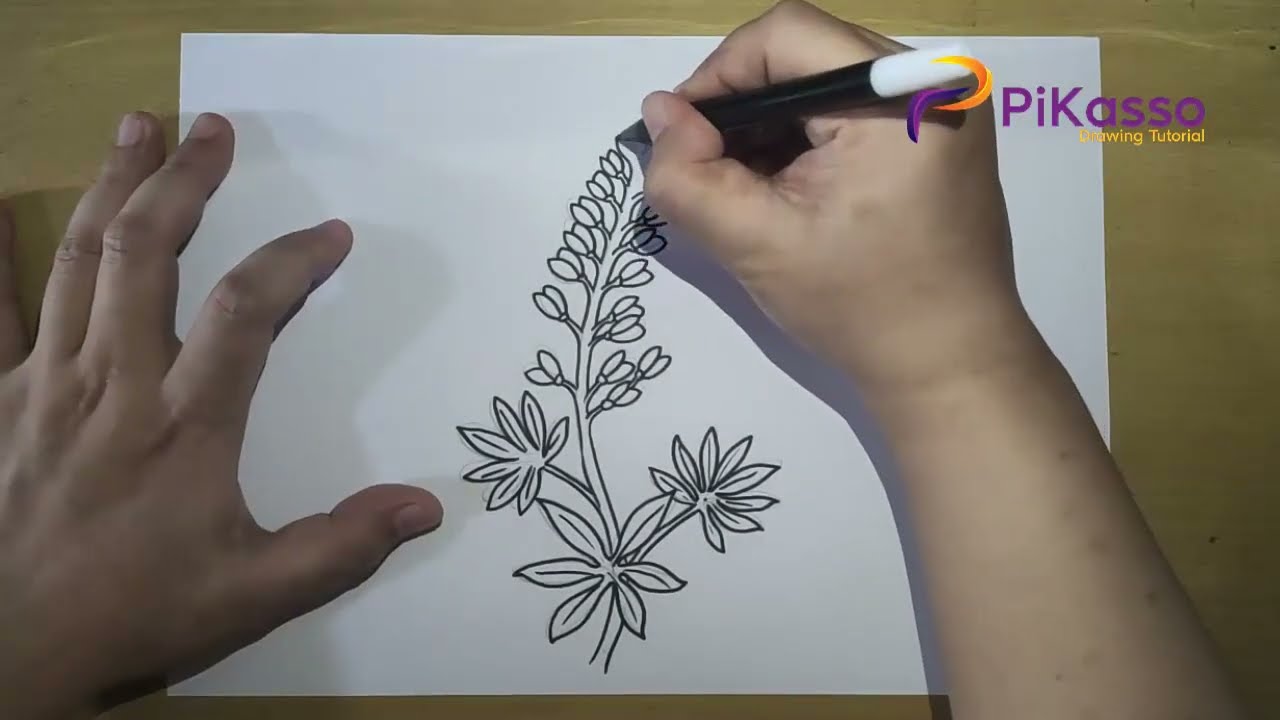 How to Draw a Bluebonnet Easy step by step